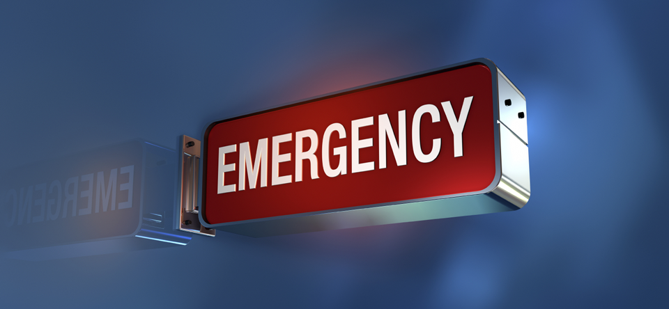 Emergency Arbitrator Award • Arbitration